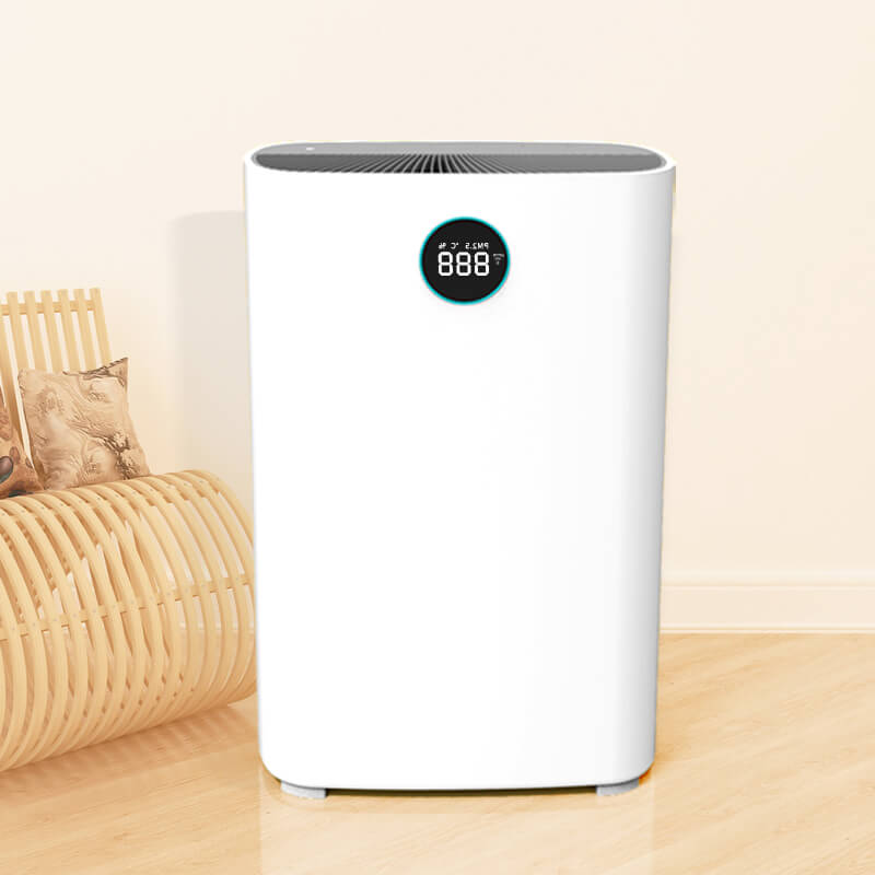 Customizable Plug Activated Carbon Touch Operation H14 Air Purifier ...